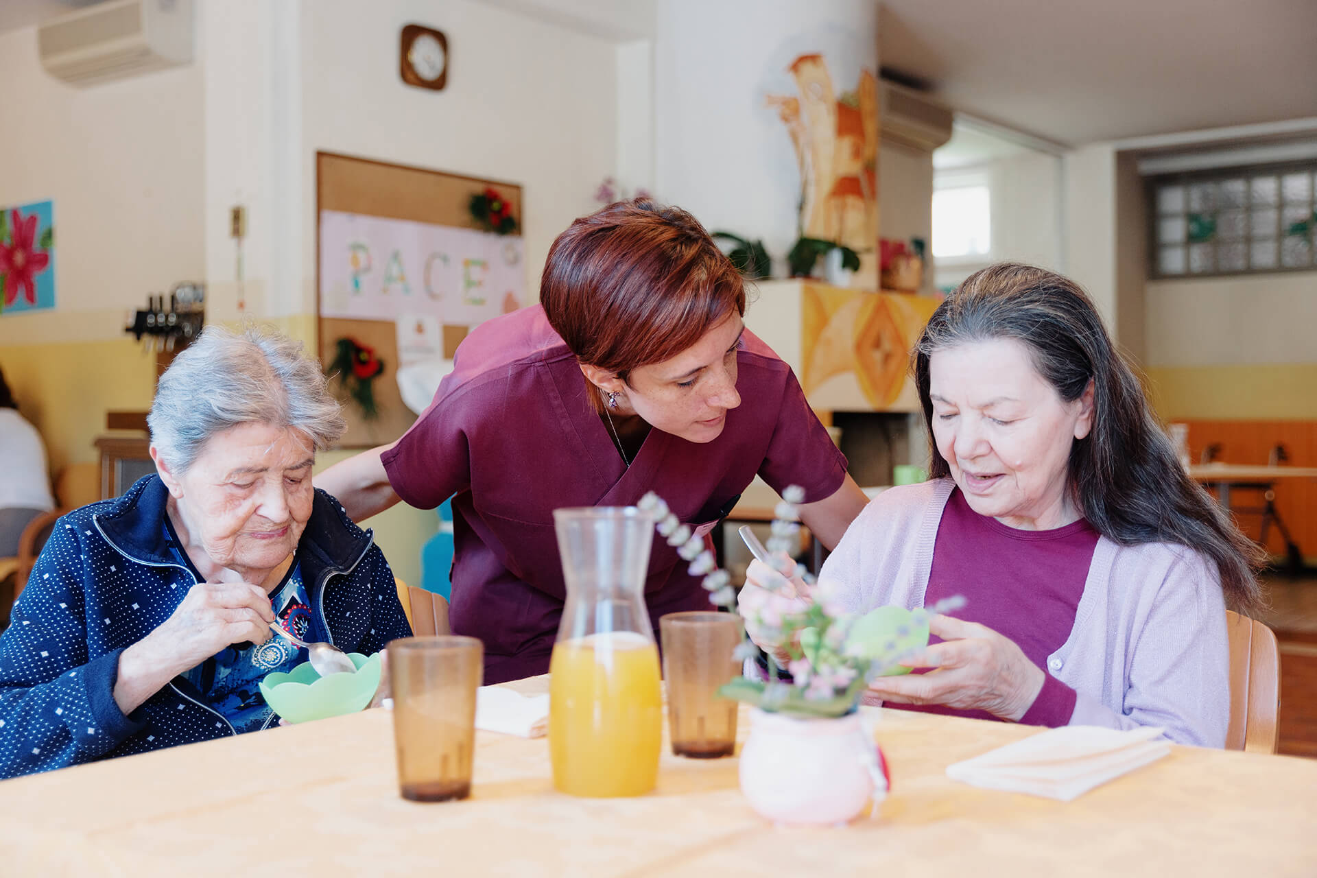 Centro Servizi "A. Brandalise" di Feltre | Azienda Feltrina Servizi ...